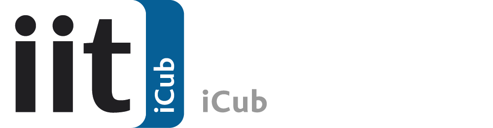 Home - iCub - IIT